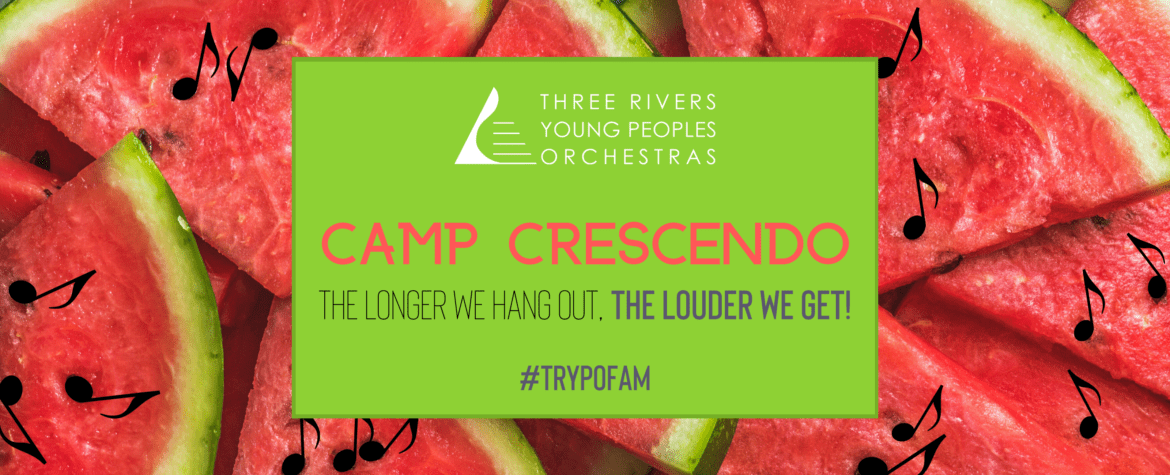 Virtual Summer Camp – Three Rivers Young Peoples Orchestras